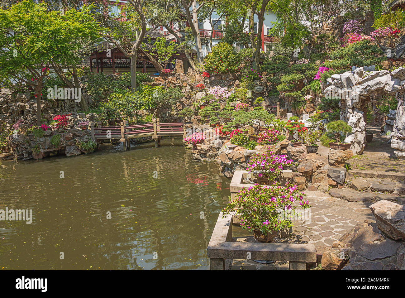 Shanghai flower port shanghai china hi-res stock photography and images ...