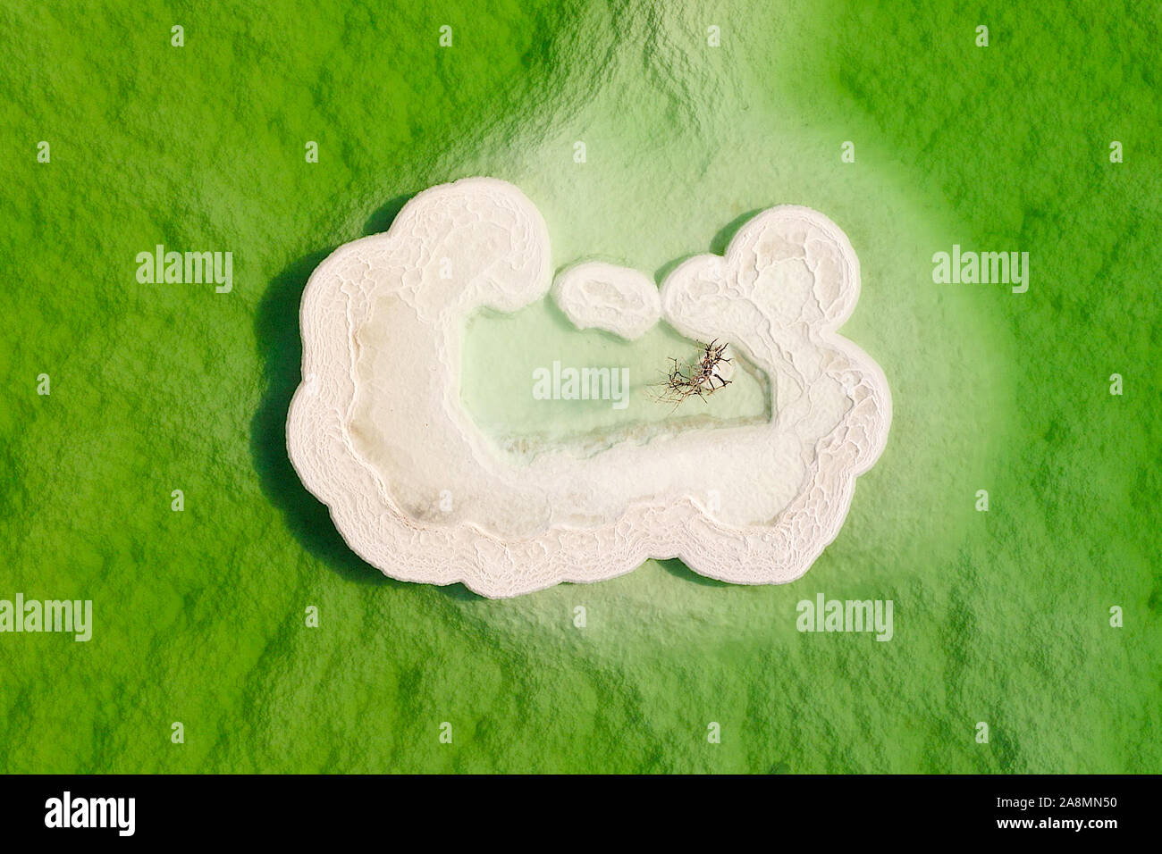 Aerial image of a Round shaped Salt deposit in the heart of the Dead ...