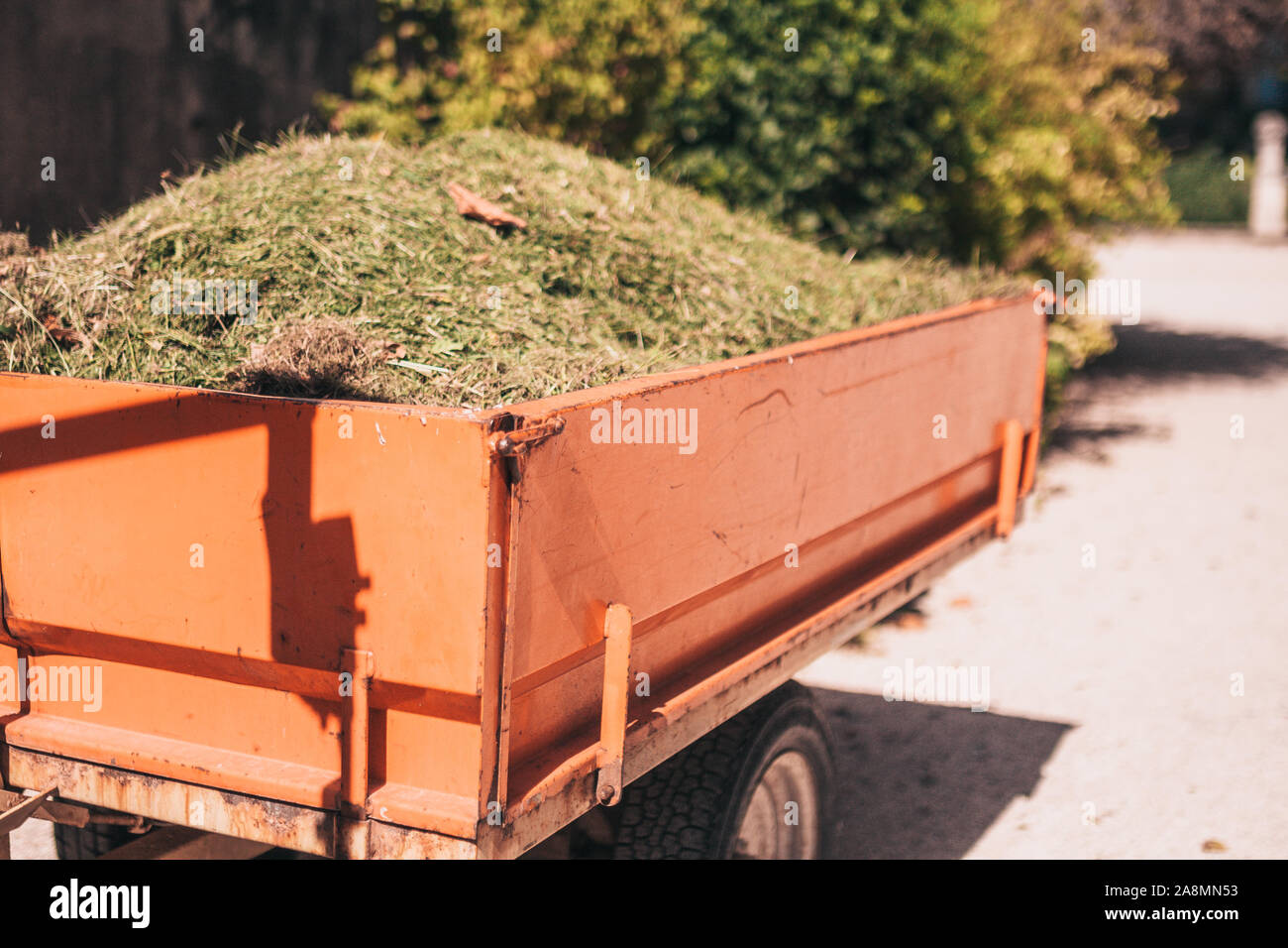 Farm Tractor Trailer in Provence Full of Mowed Grass Stock Photo - Alamy