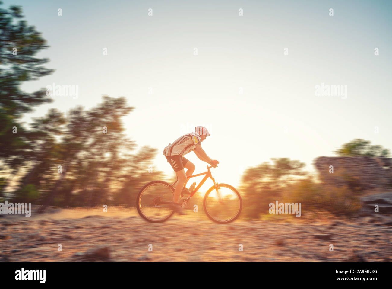 Bike ride in the forest hi-res stock photography and images - Alamy