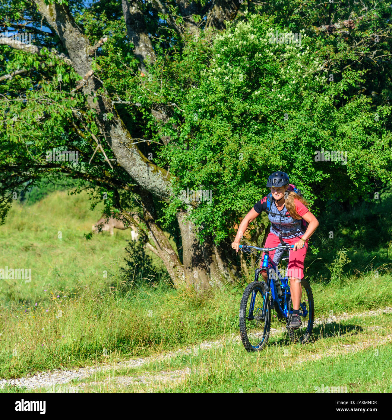 Sporty people on relaxed cycling tour in the alpine foothills near Seeg ...