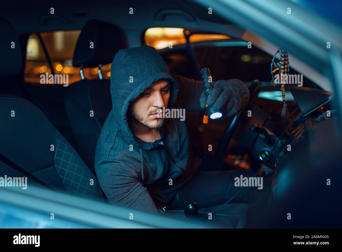 Professional thief hi-res stock photography and images - Alamy