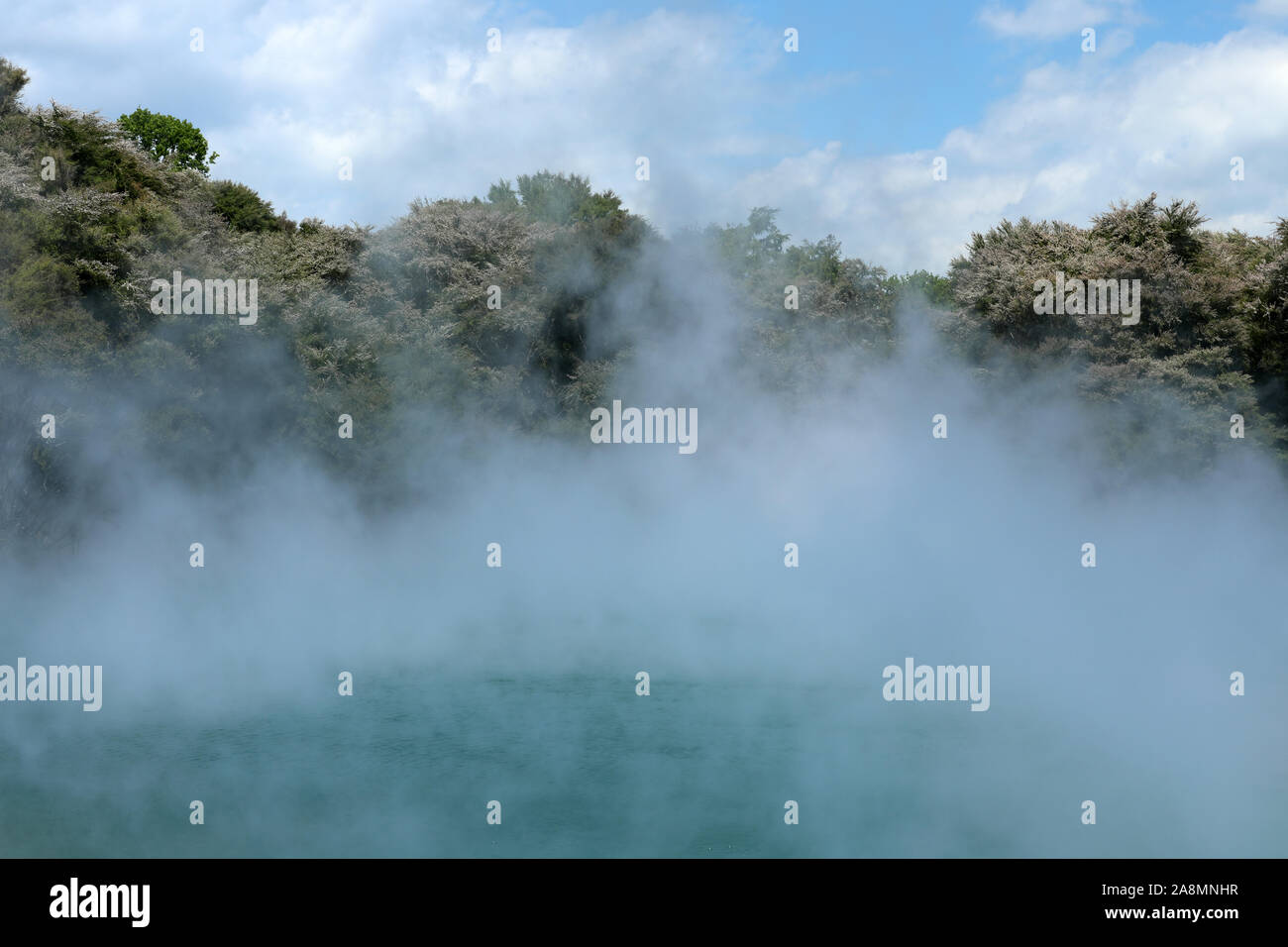 Hot Springs Rotorua New Zealand Stock Photo - Alamy