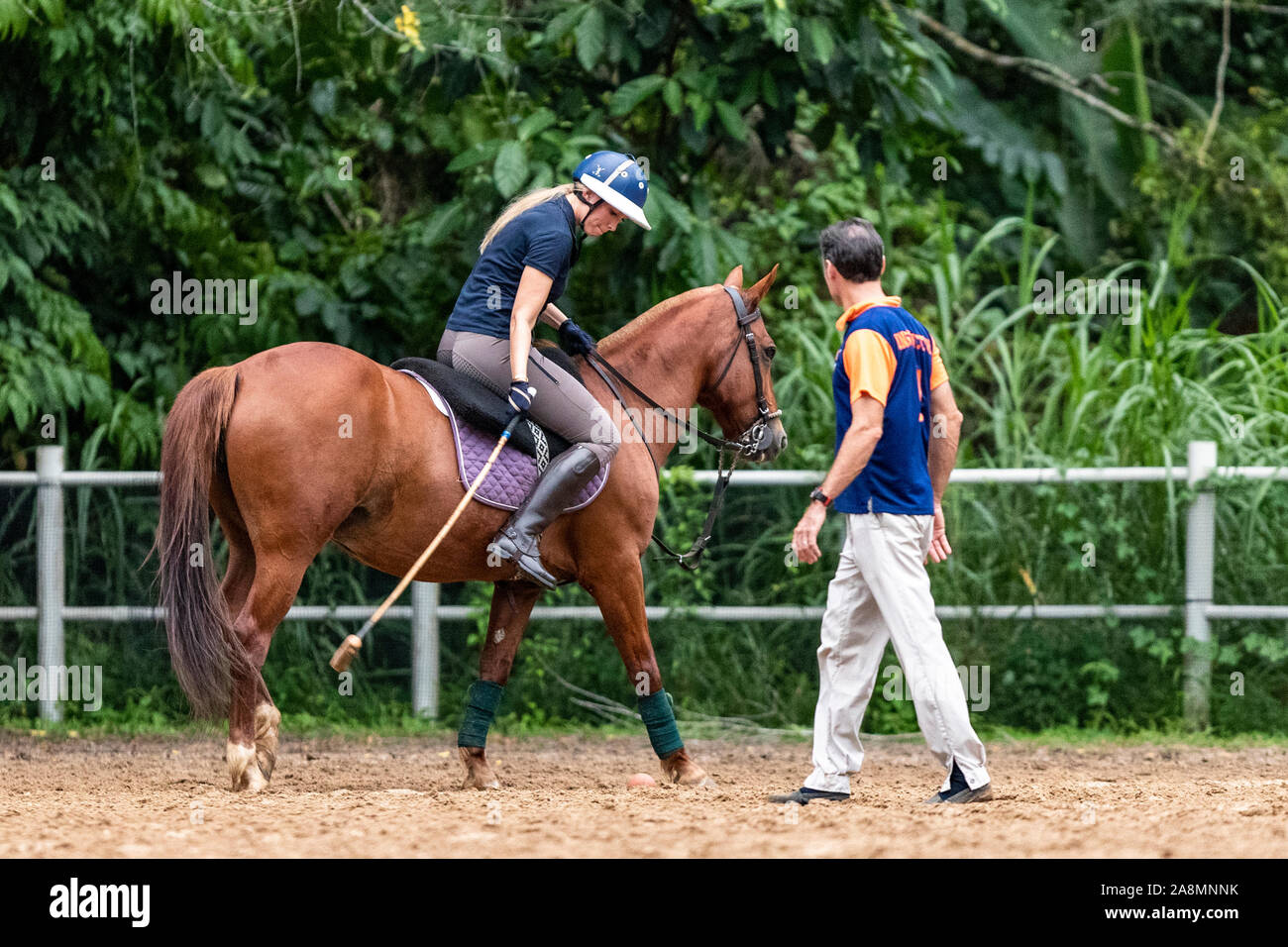Polo horse riding training, Singapore Stock Photo - Alamy