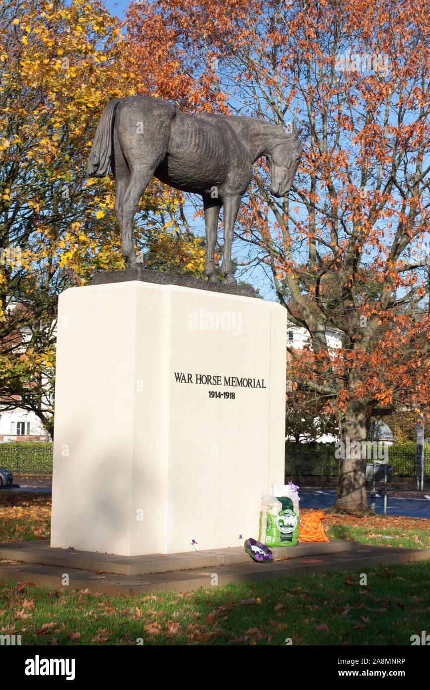 Ascot, UK. 10th Nov, 2019. Wreath laying at the War Horse Memorial ...