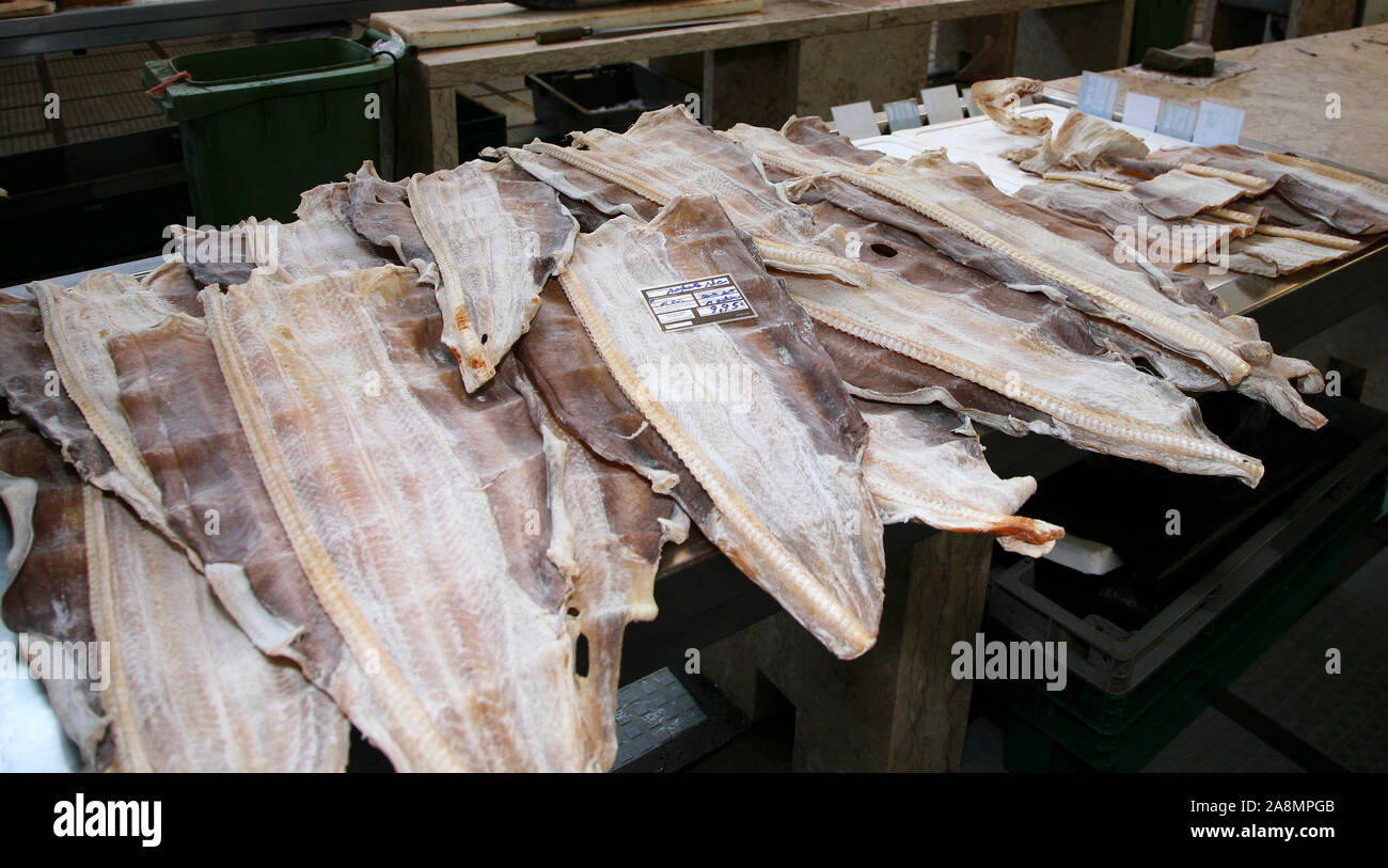 Dogfish Sharks Stock Photos & Dogfish Sharks Stock Images - Alamy