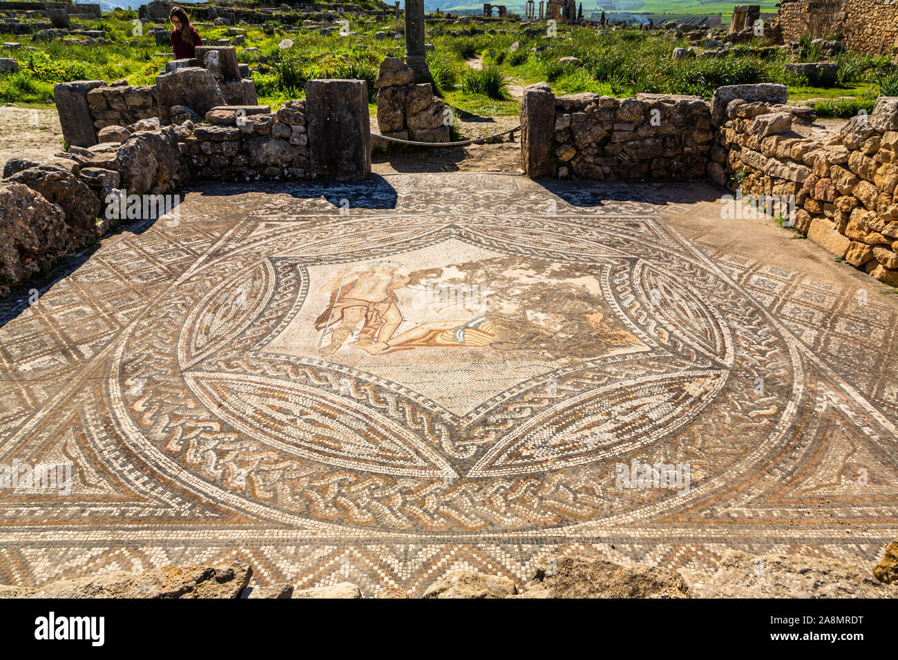 Berber roman hi-res stock photography and images - Alamy