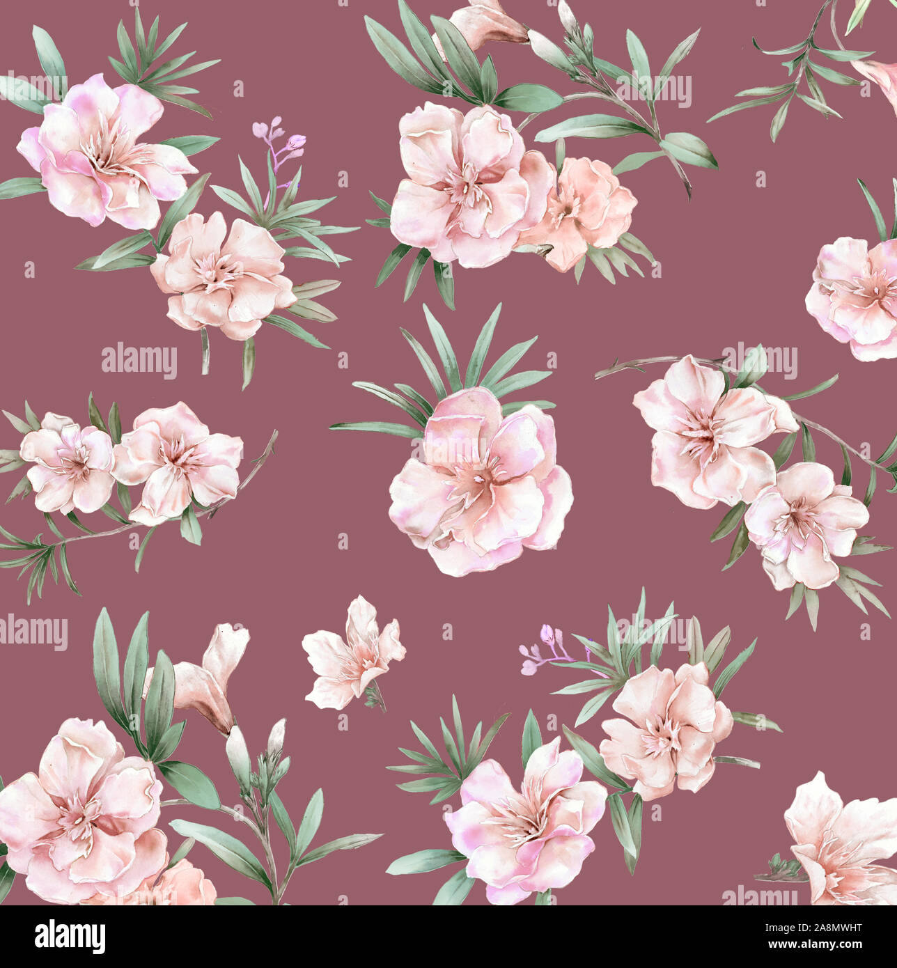 Computer drawn beautiful flowers illustration Stock Photo - Alamy