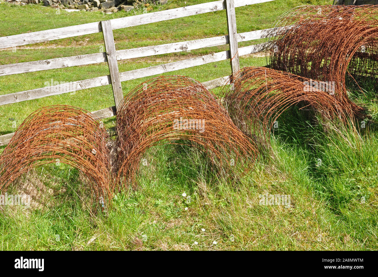 Rusting iron fencing hi-res stock photography and images - Alamy