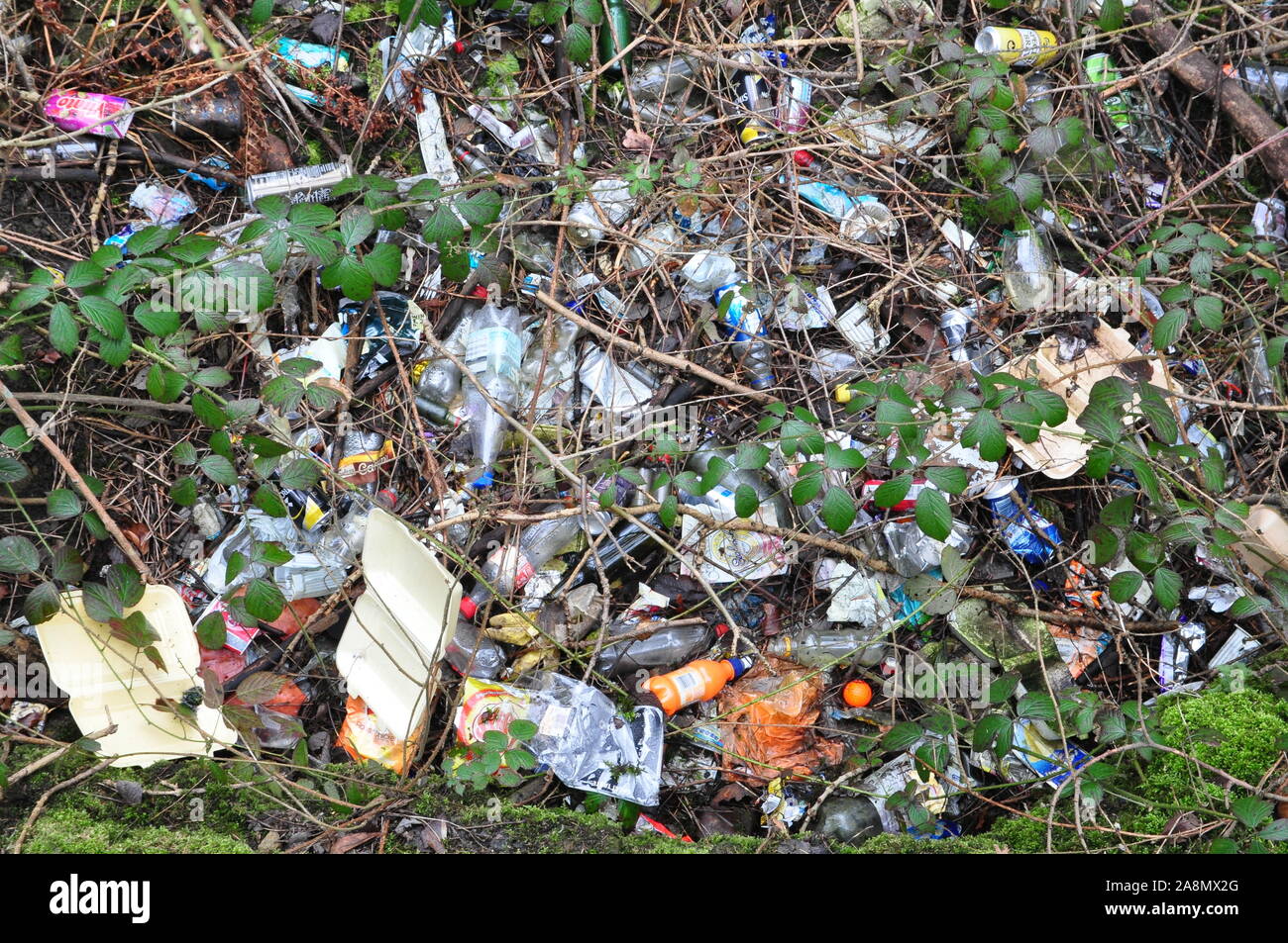 Household litter hi-res stock photography and images - Alamy
