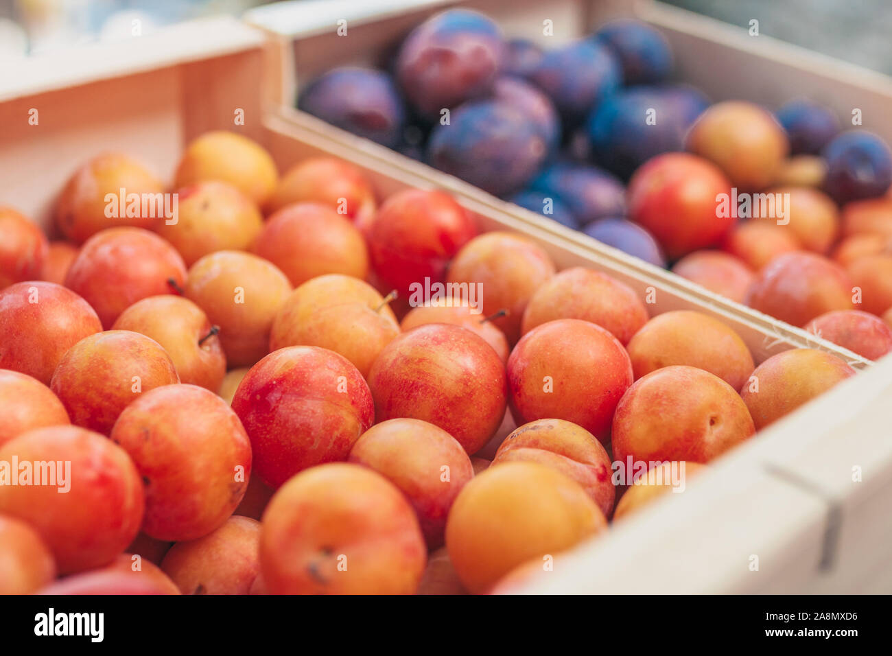 Beautiful fresh plums on the market Stock Photo - Alamy