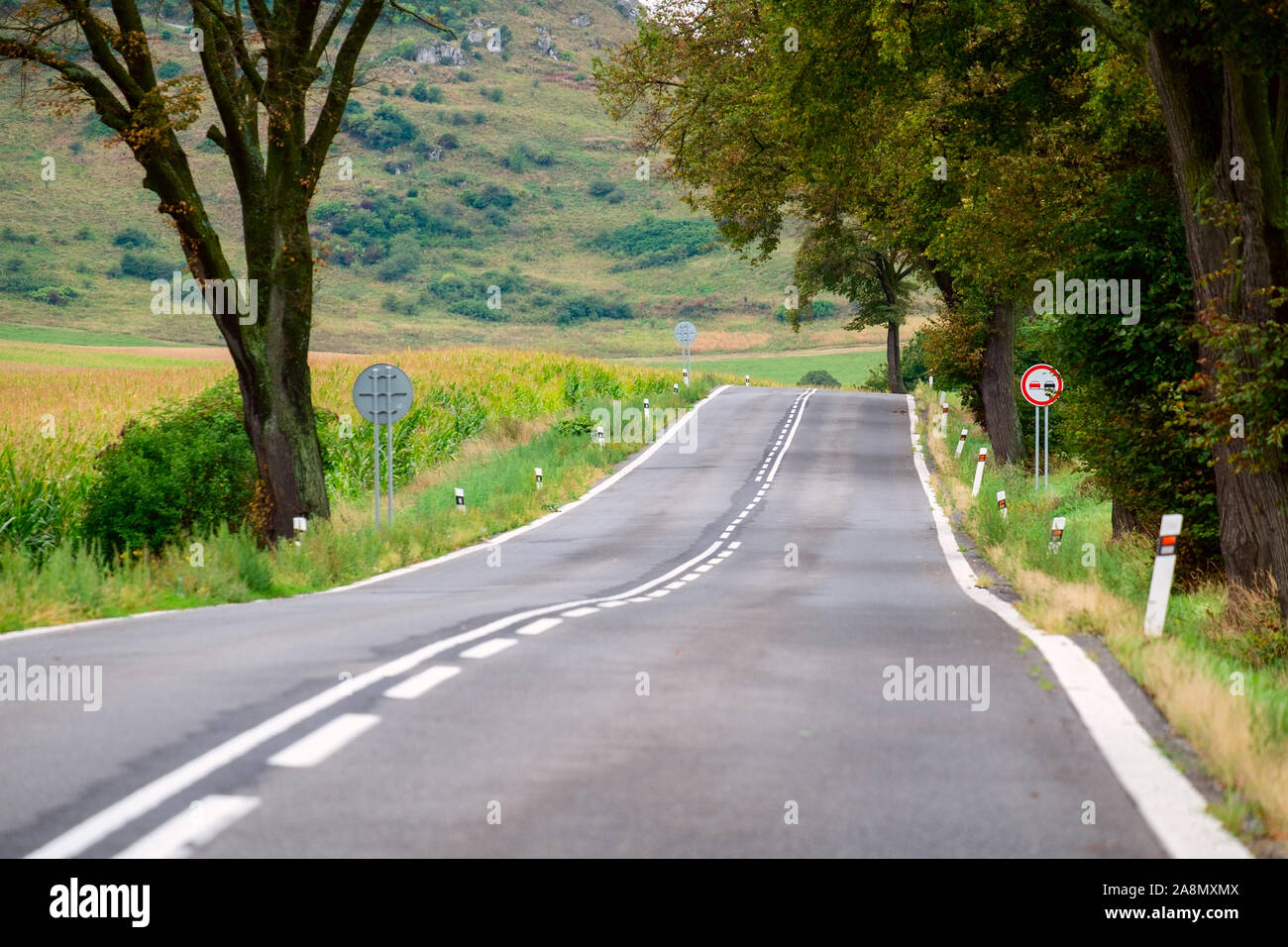 Autumn mountain road in a Tatra mountain in Slovakia Stock Photo - Alamy