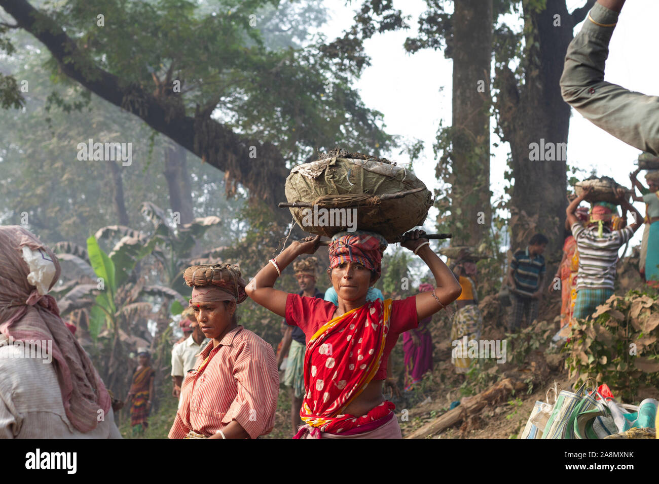 Working Village Woman Kolkata , west bengal , India months of september ...