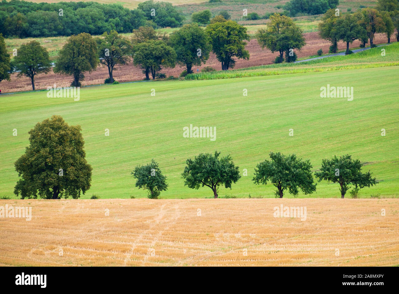 Outdoor spring april nature landscape scenery hi-res stock photography ...