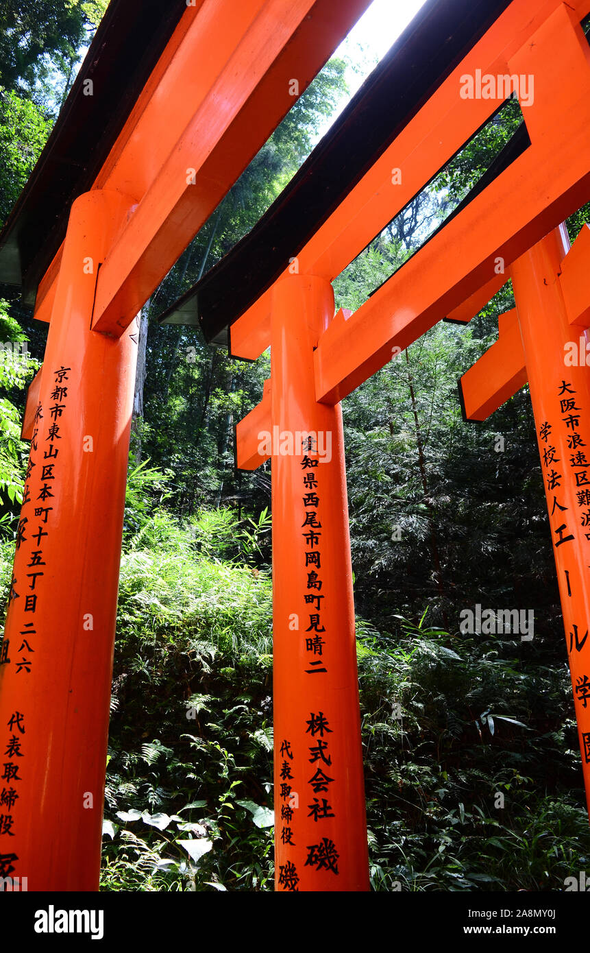 Red Torii, in Fushimi Inari Taisha temple or sanctuary, in Kyoto, Japan ...