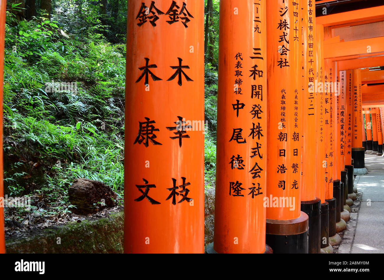 Red Torii, in Fushimi Inari Taisha temple or sanctuary, in Kyoto, Japan ...