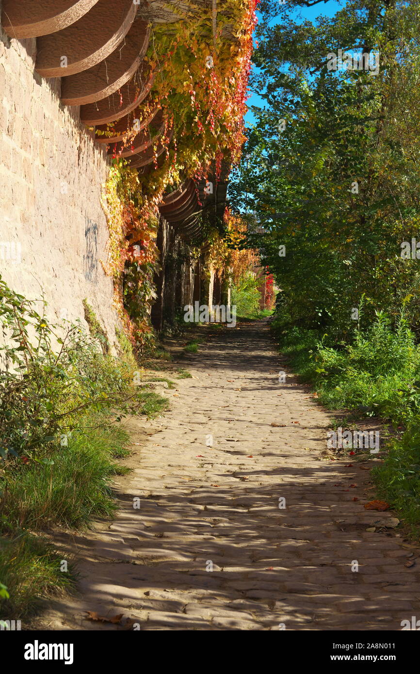Riverside Path in Heidelberg Stock Photo - Alamy