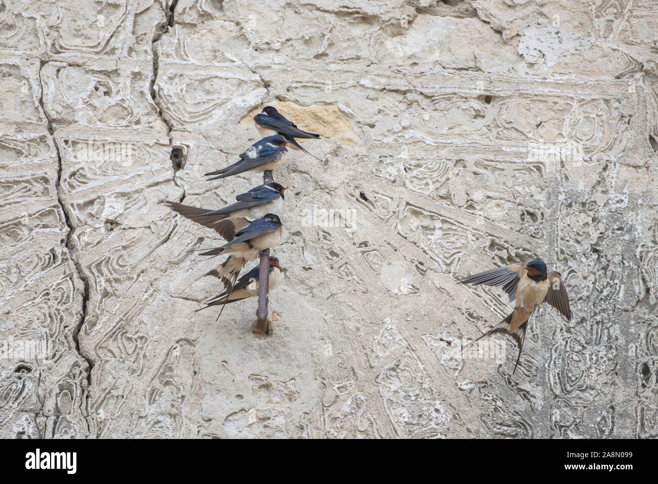 Sundial barn hi-res stock photography and images - Alamy