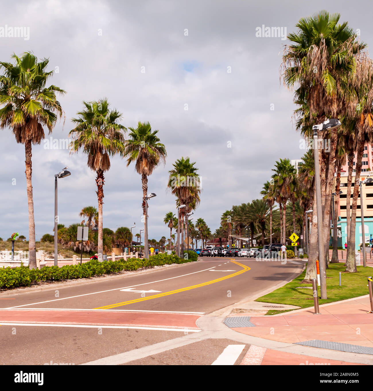 Palm tree lined South Gulfview Boulevard on a sunny fall day ...