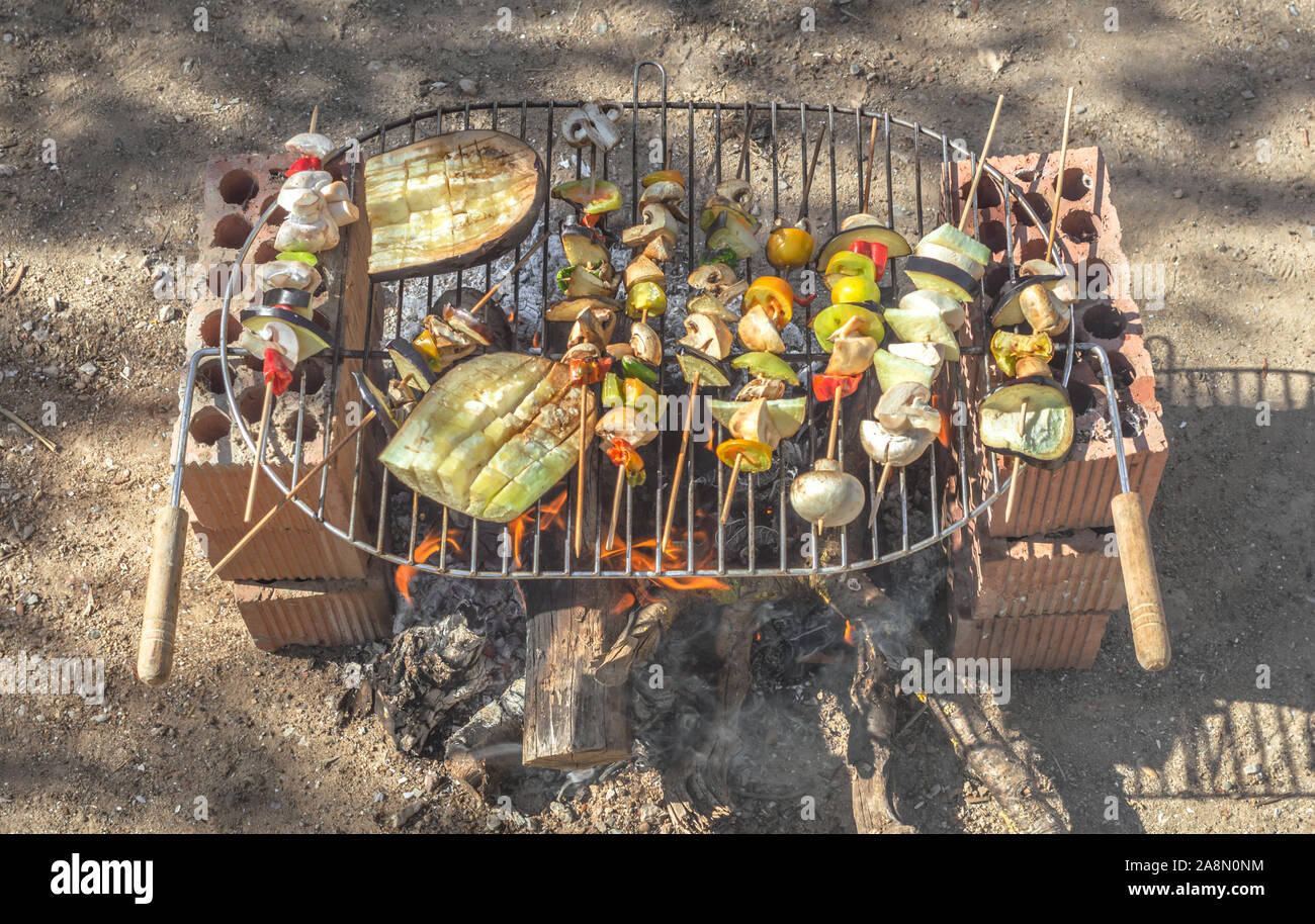 Rustic vegan barbecue made with recycled bricks. Cooking skewers and ...