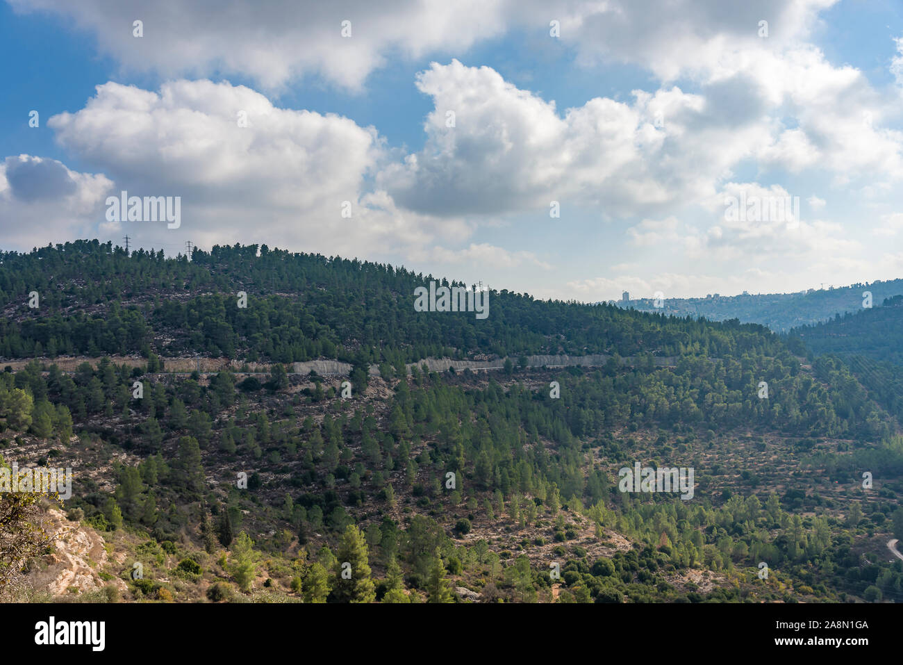 Israel jerusalem mountains pine forest hi-res stock photography and ...