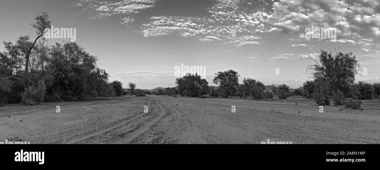 the dry riverbed of the swakop river in the morning in black and white ...