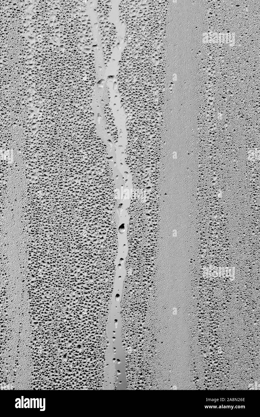 Dew drops fresh Black and White Stock Photos & Images - Alamy