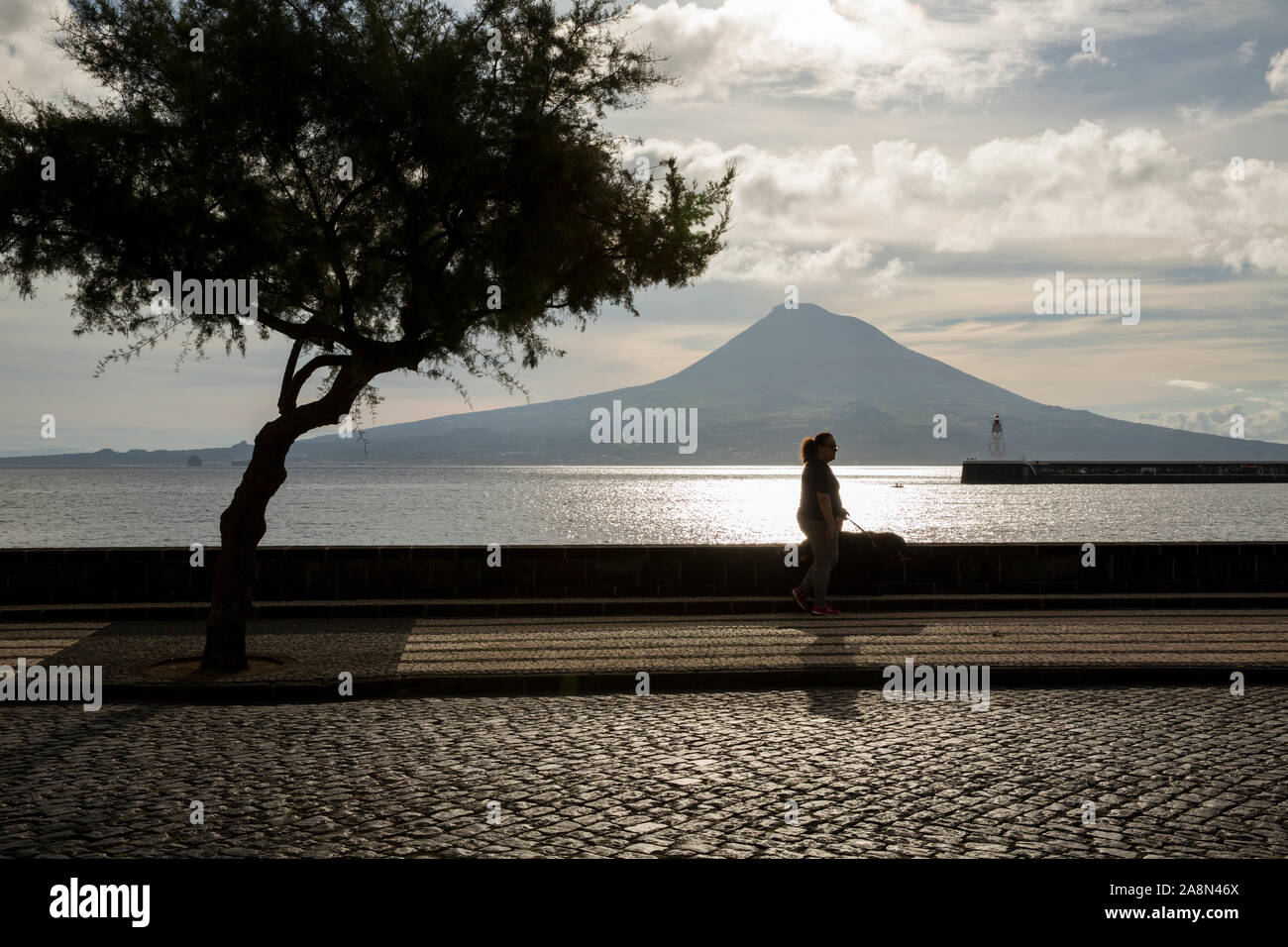 Woman walking her dog in Faial with a view over Pico. Faial, Azores ...