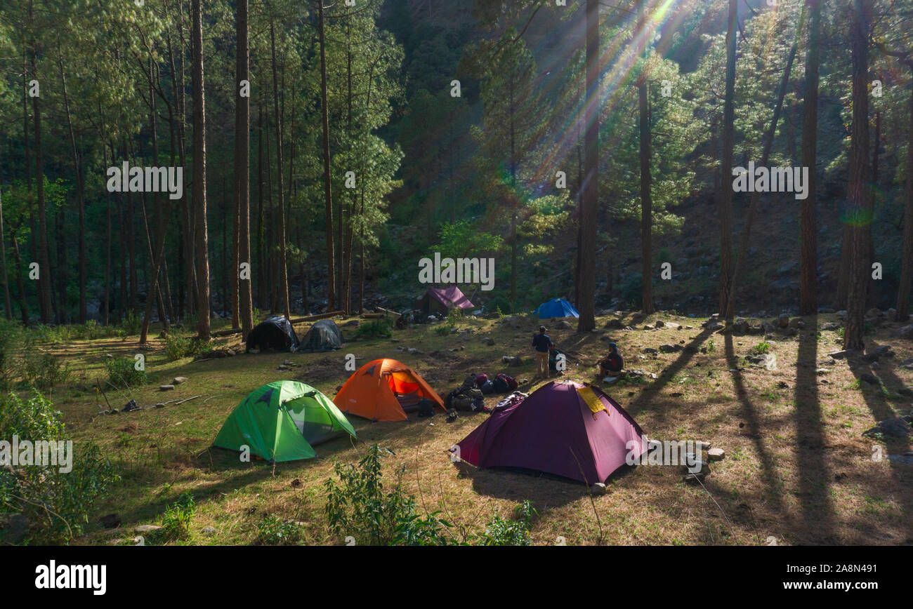 Camping camp tents forest hi-res stock photography and images - Alamy