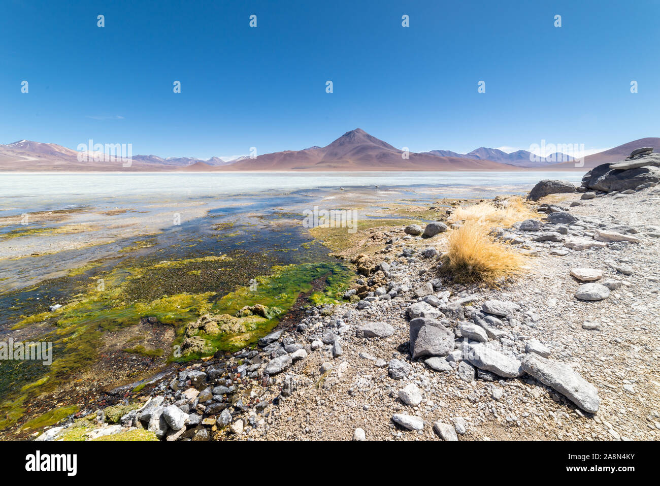 White Lagoon, Laguna Blanca, Eduardo AVaroa National Reserve, Bolivia ...