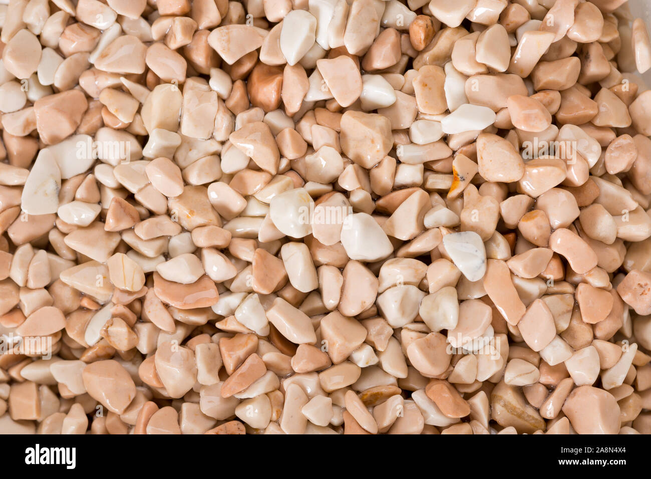 Light grey beach pebbles hi-res stock photography and images - Alamy