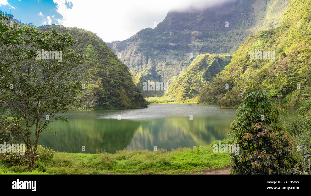 Tropical rain forest tahiti french hi-res stock photography and images ...