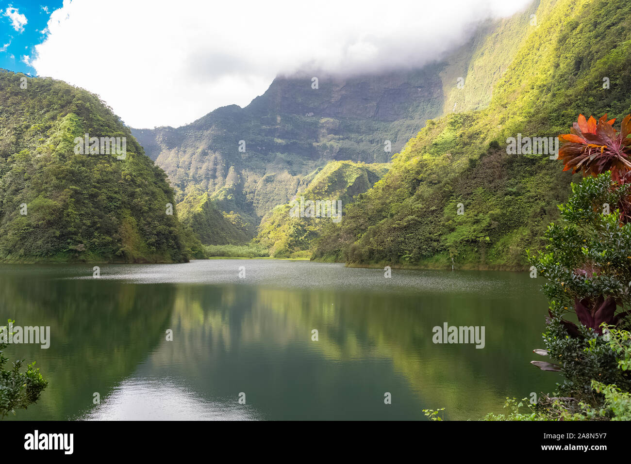 Tahiti french polynesia vegetation hi-res stock photography and images ...