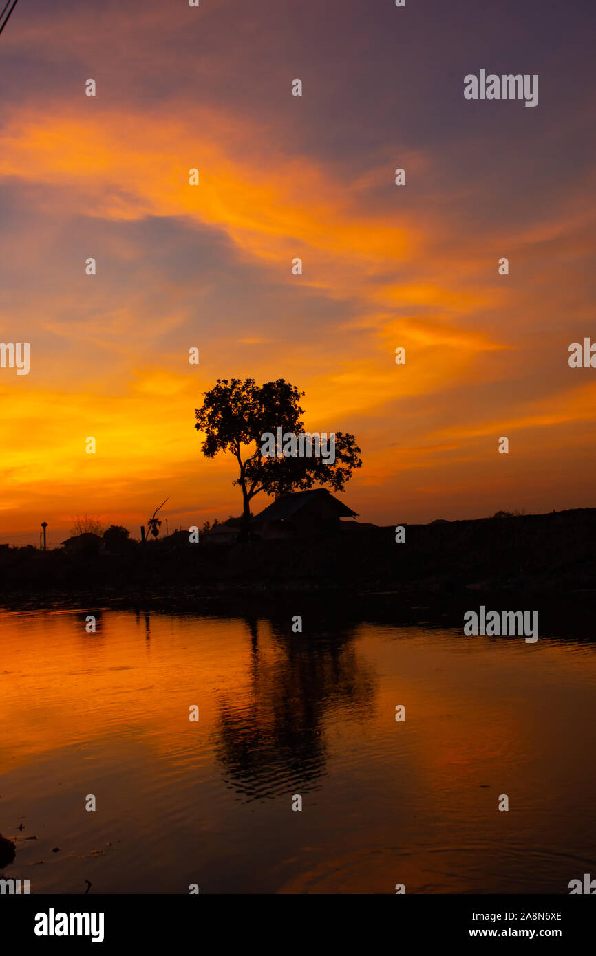 Light behind trees hi-res stock photography and images - Alamy