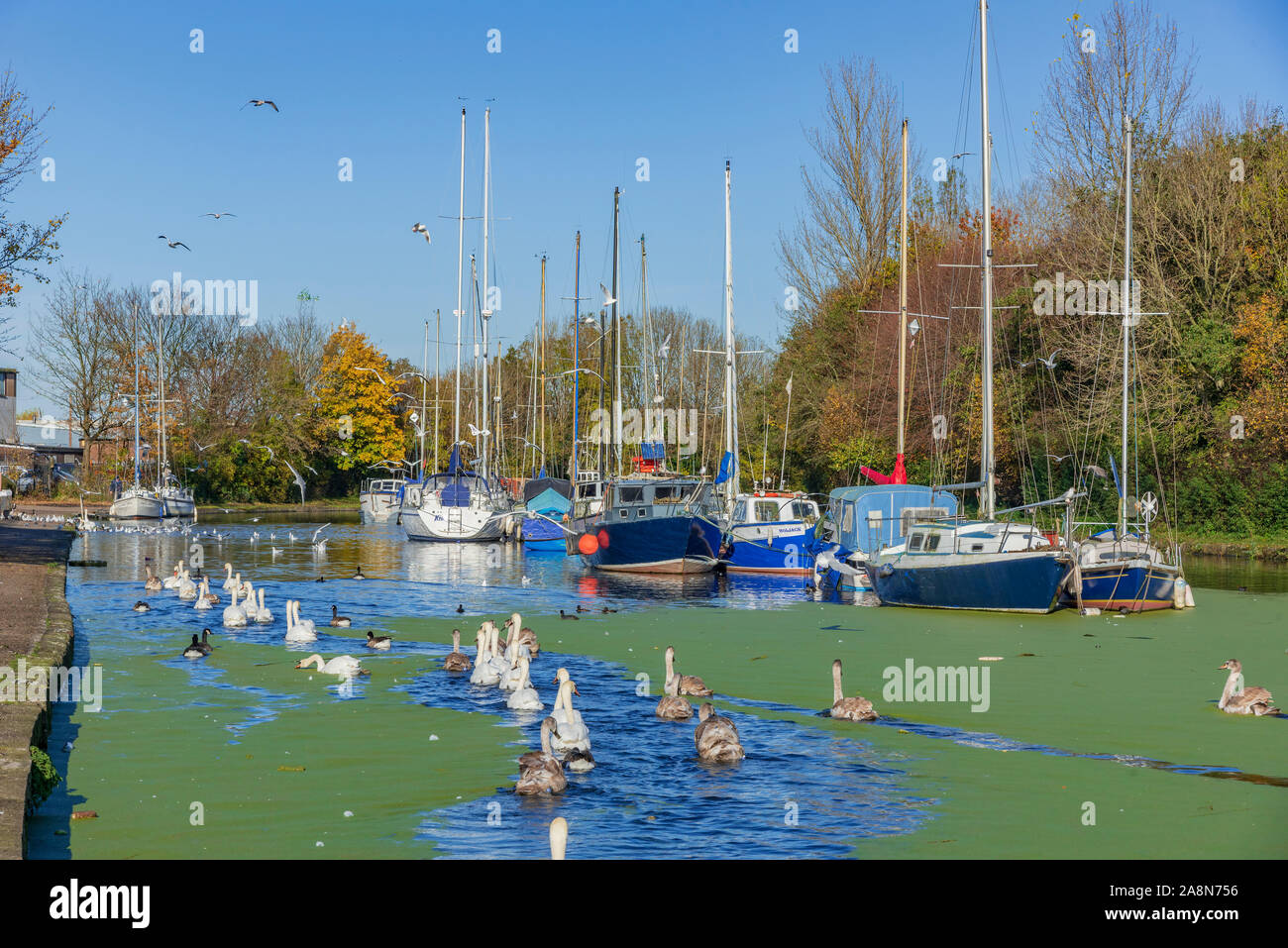 Spike island hi-res stock photography and images - Alamy
