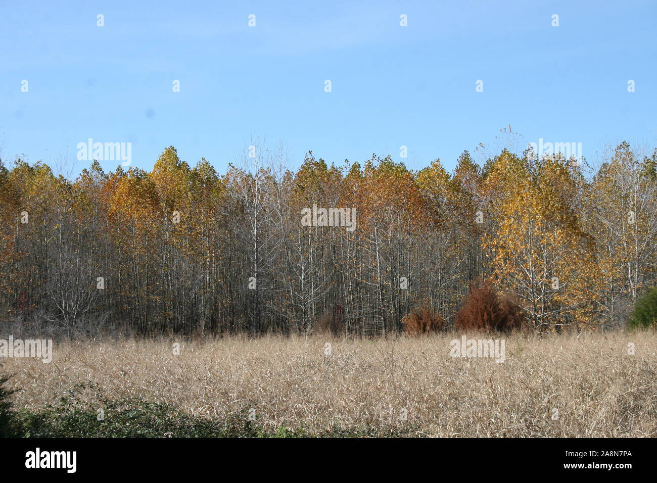 Midwest autumn hi-res stock photography and images - Alamy