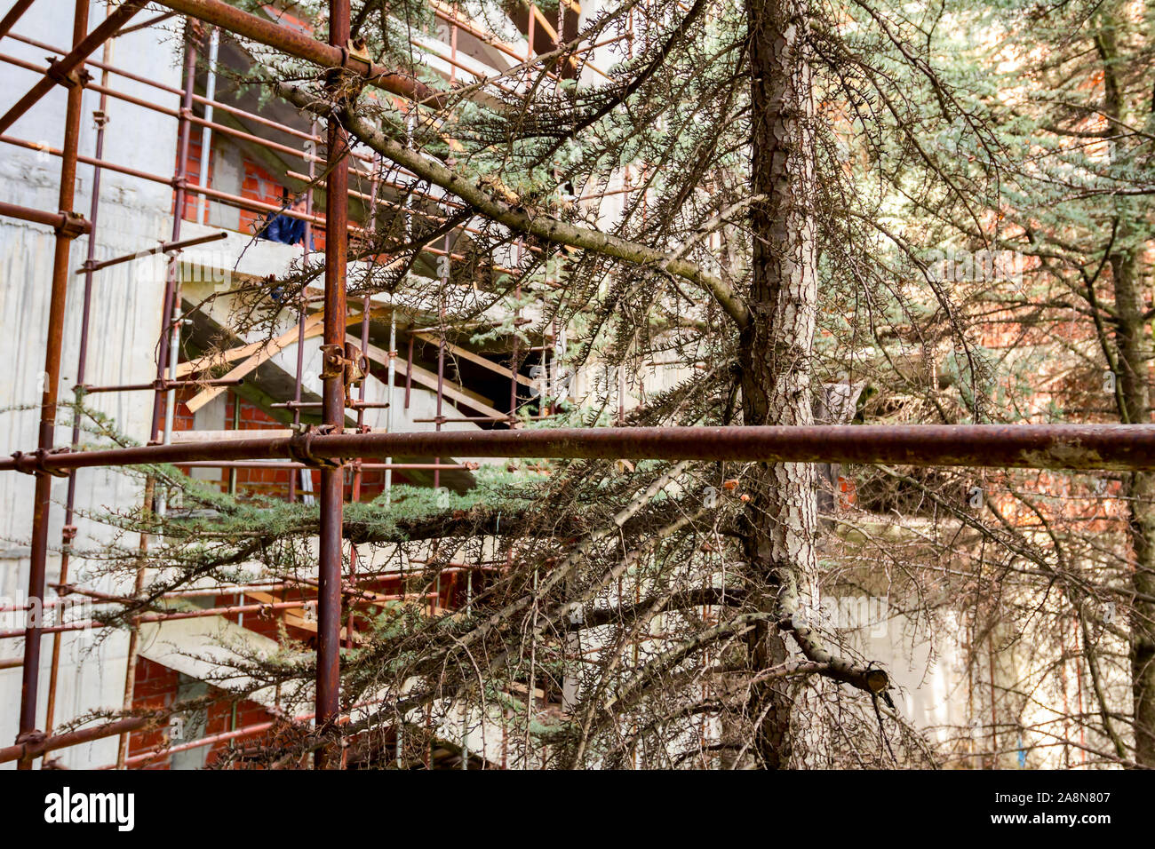 Scaffold is placed against edifice, building under construction Stock ...