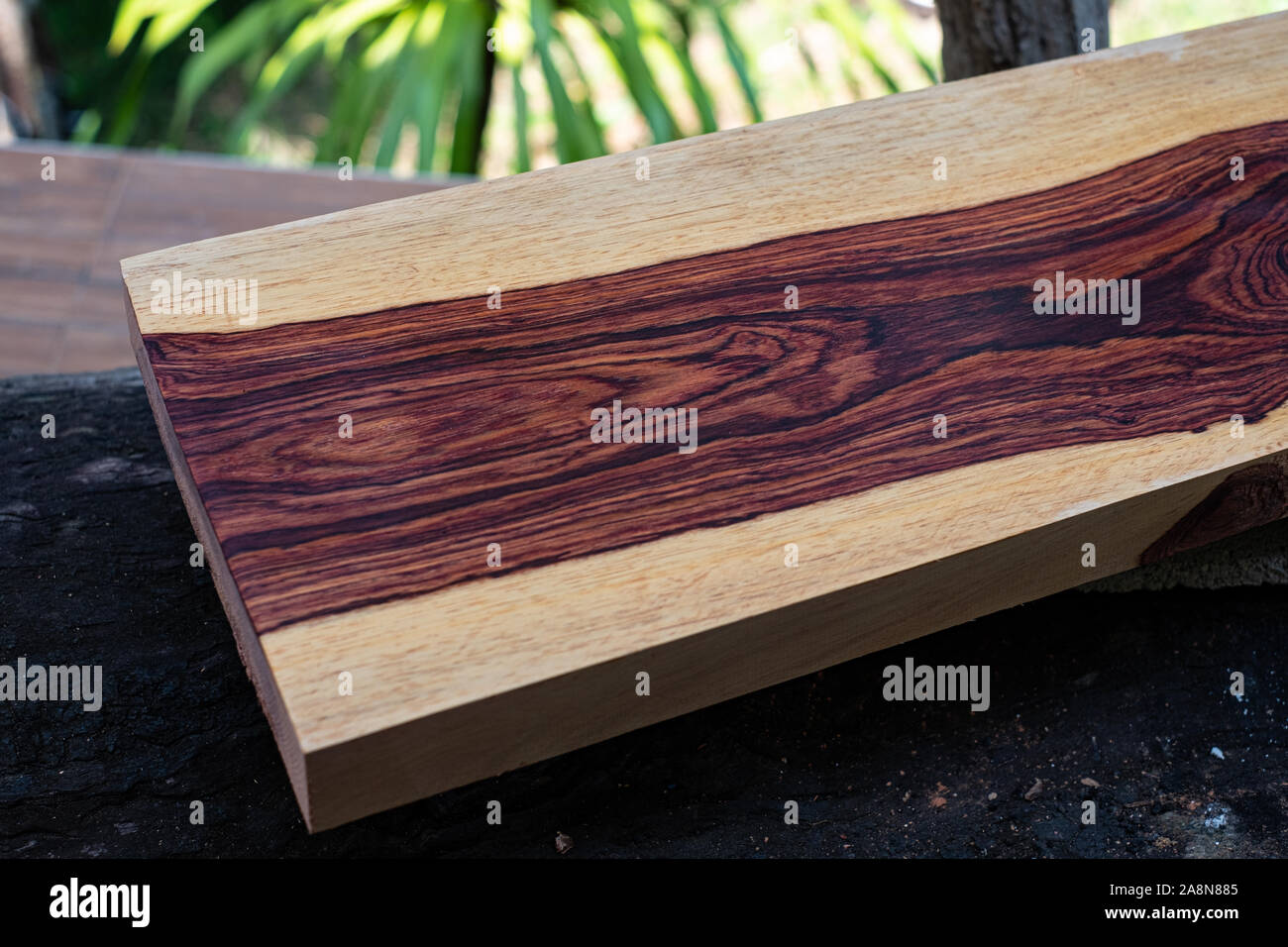 Wood logs of Burmese rosewood, Exotic wooded beautiful pattern for ...