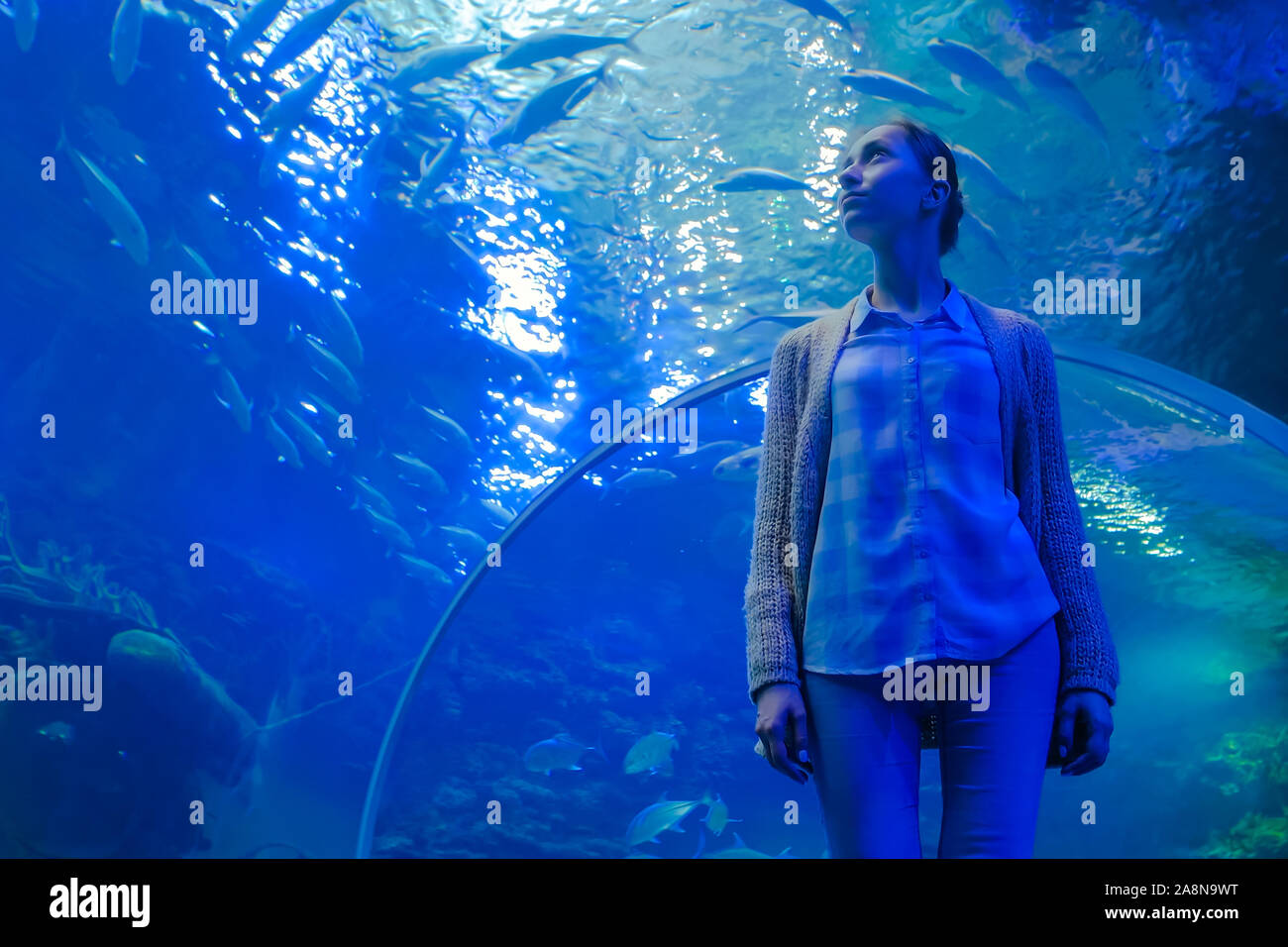 Woman looking at fish vortex in large public aquarium tank at ...