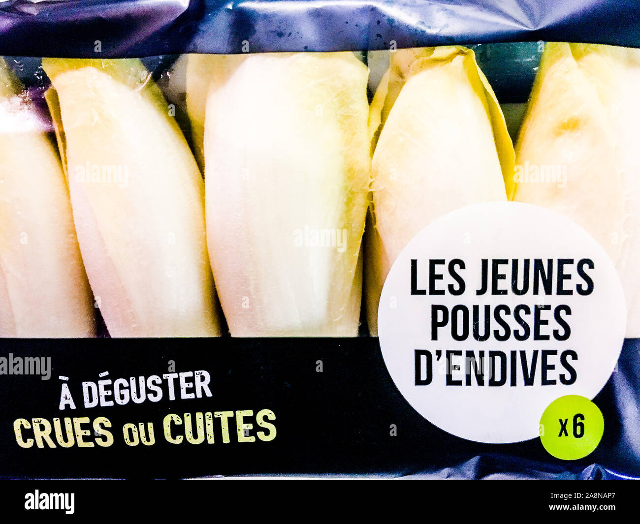 Young endives growing shoots hi-res stock photography and images - Alamy