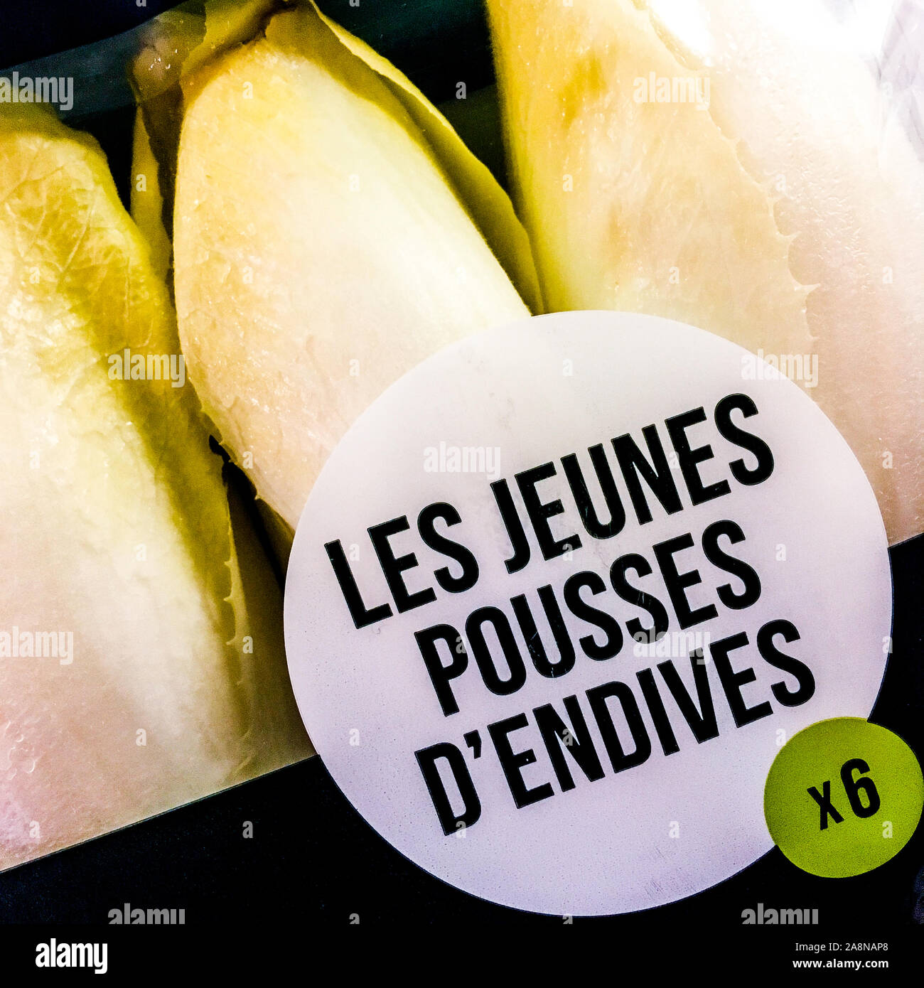 Young endives growing shoots hi-res stock photography and images - Alamy