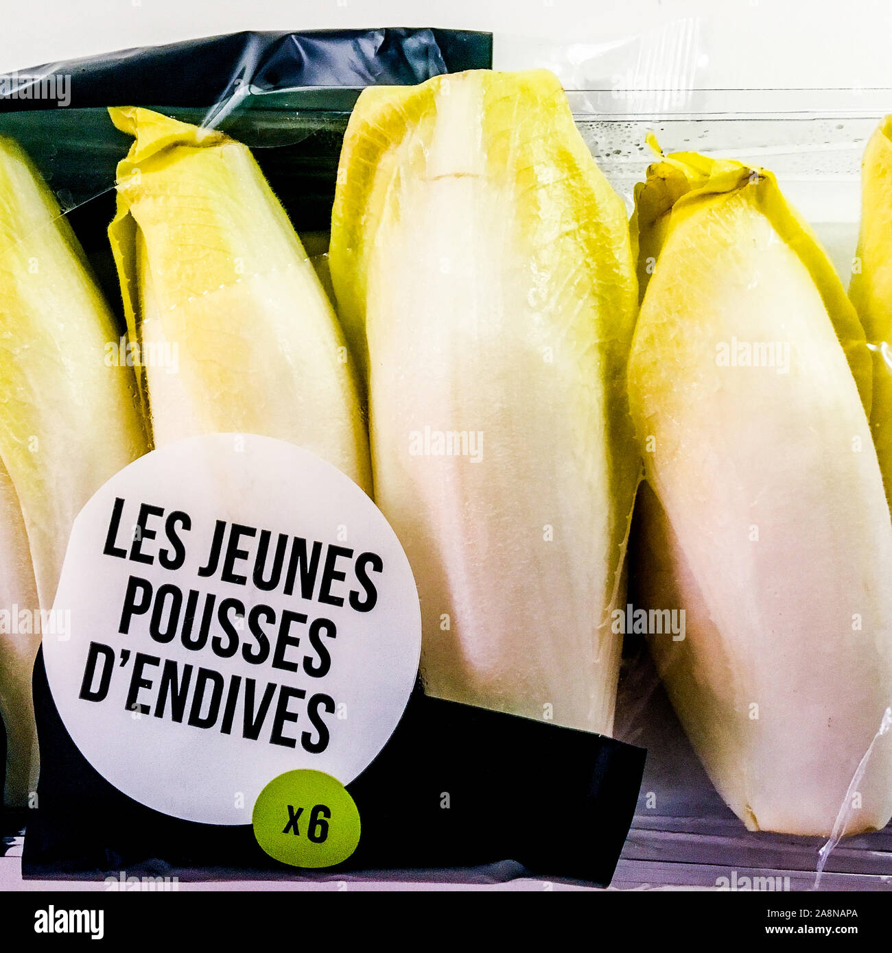 Young endives growing shoots hi-res stock photography and images - Alamy