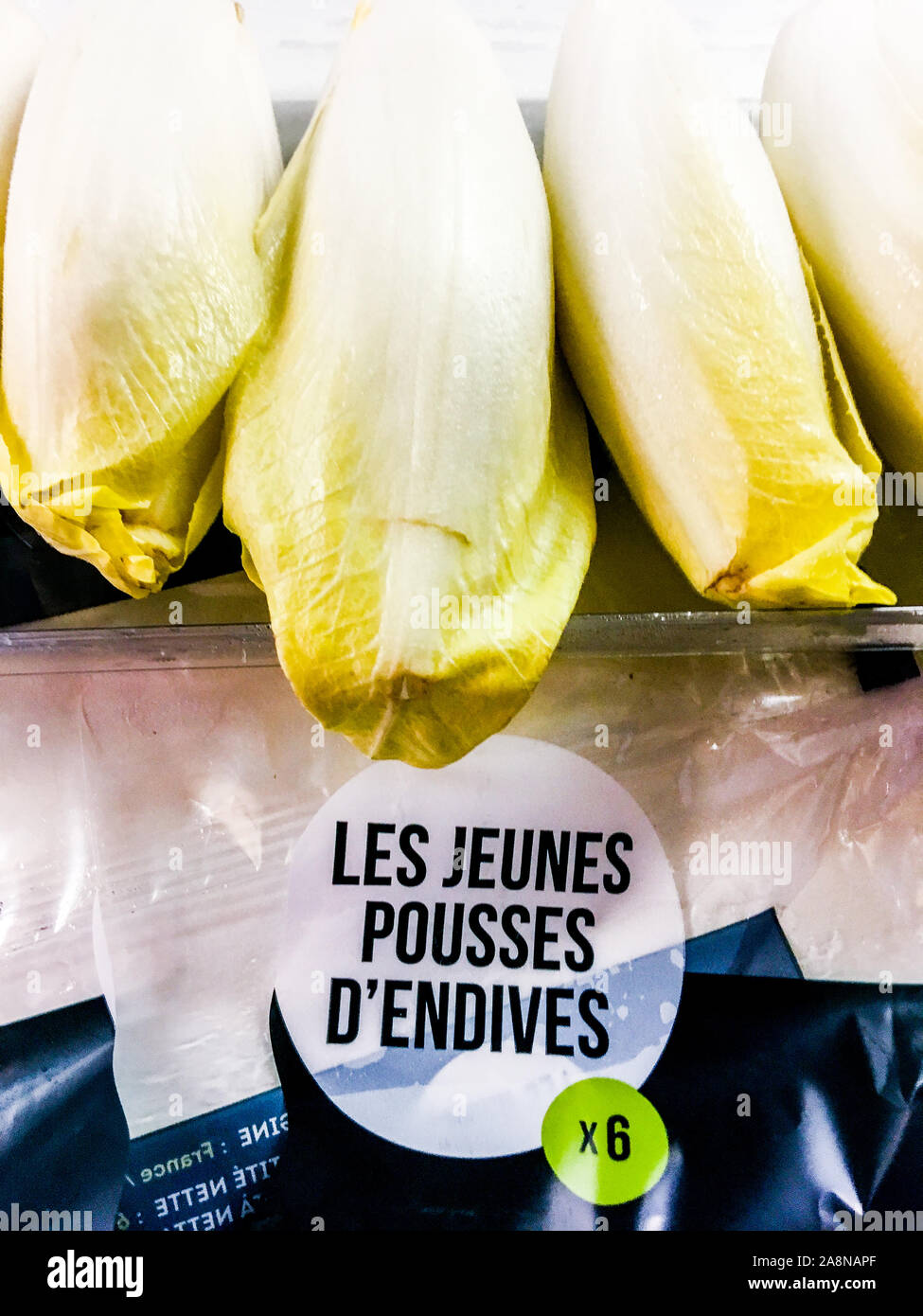 Young endives growing shoots hi-res stock photography and images - Alamy