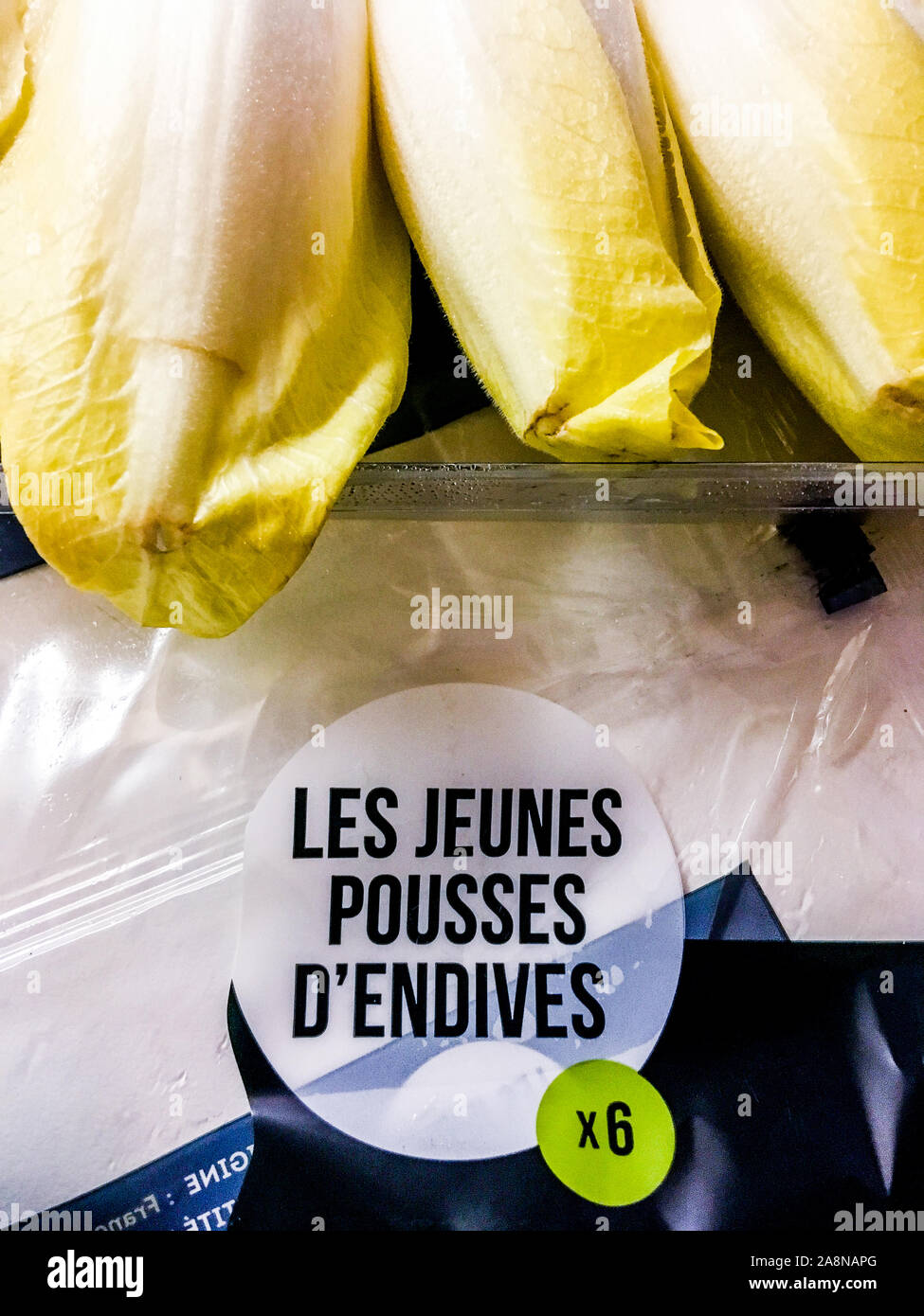 Young endives growing shoots hi-res stock photography and images - Alamy