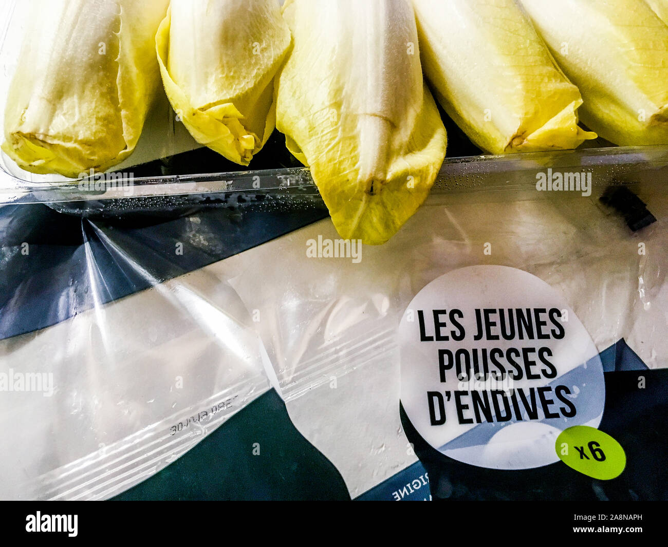 Young endives growing shoots hi-res stock photography and images - Alamy