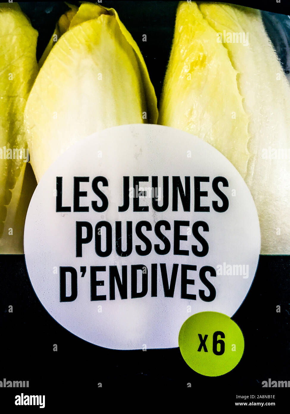 Young endives growing shoots hi-res stock photography and images - Alamy