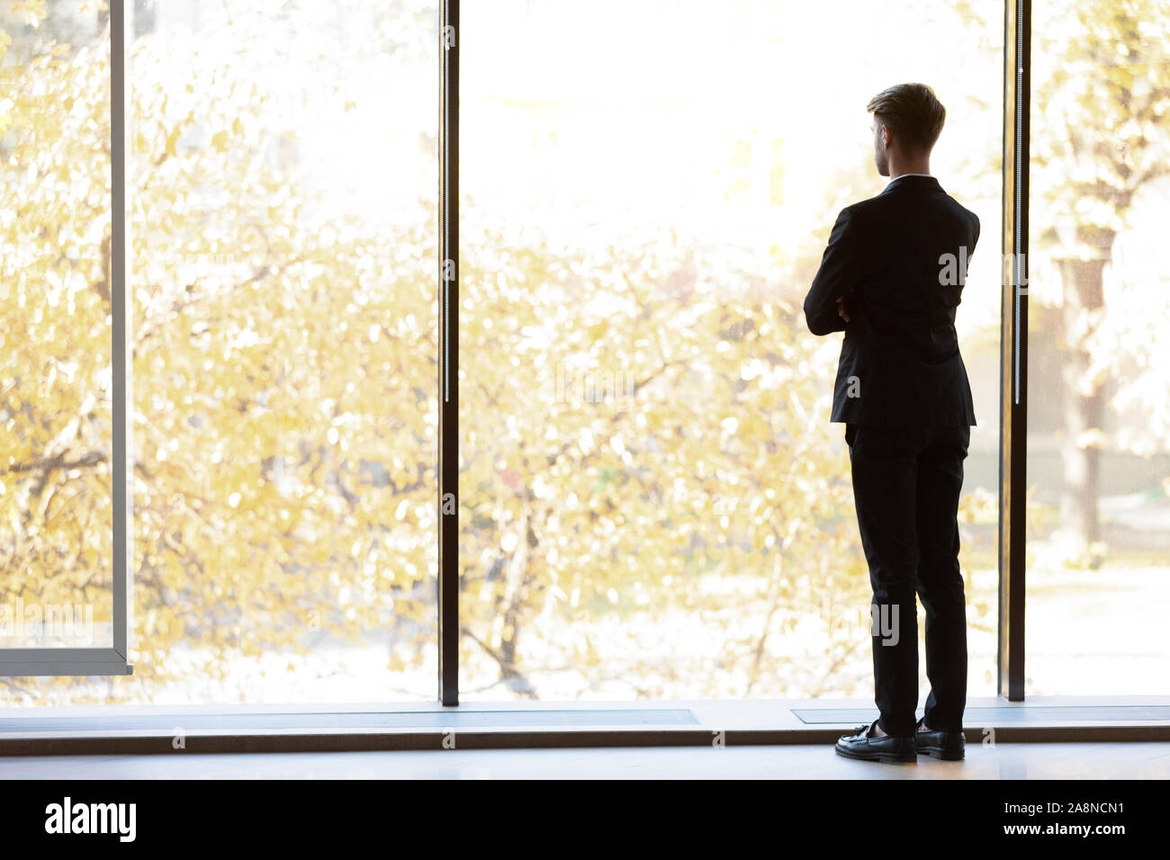 Businessman standing window looking distance hi-res stock photography ...