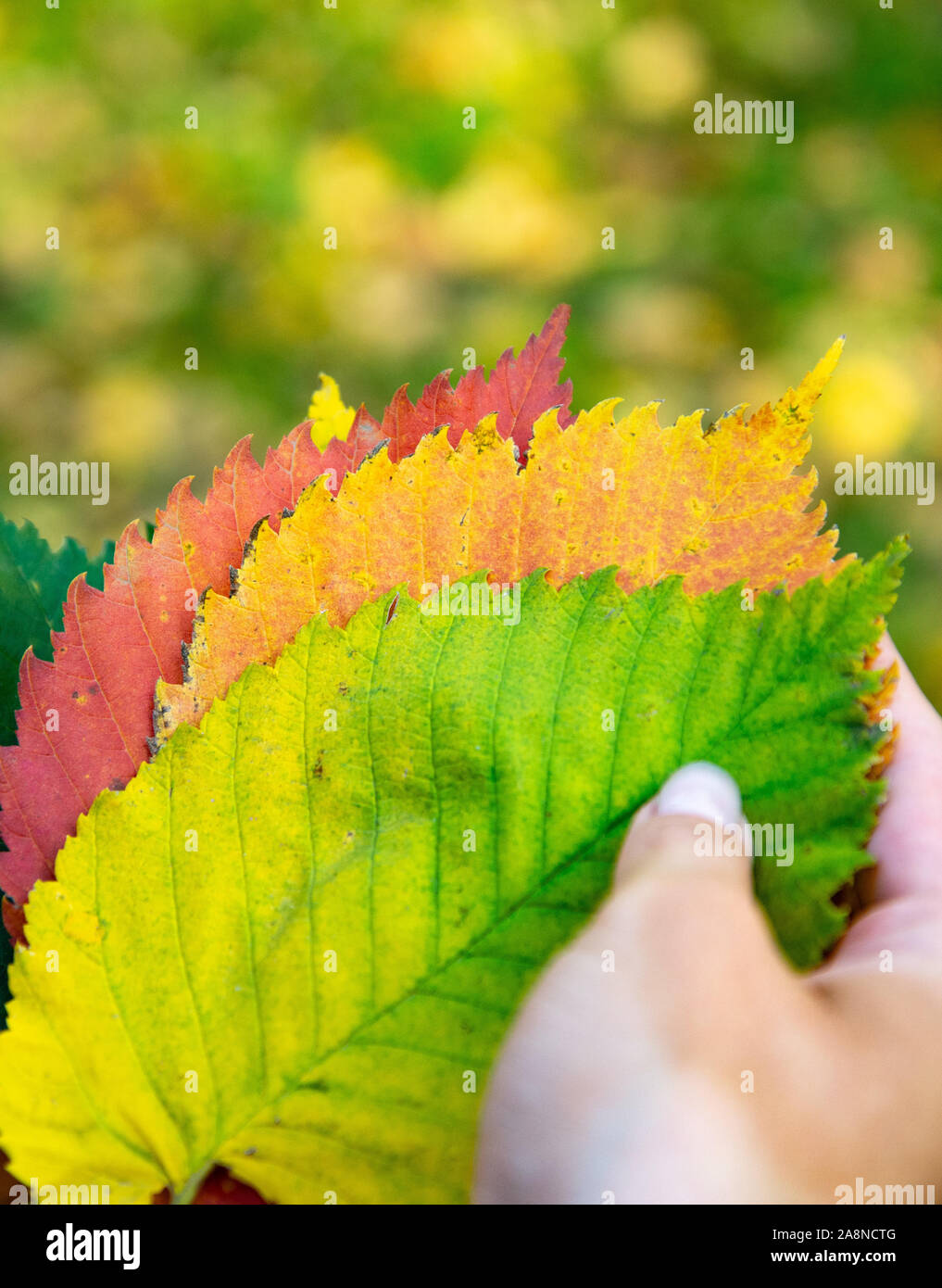 Palms keep hi-res stock photography and images - Alamy