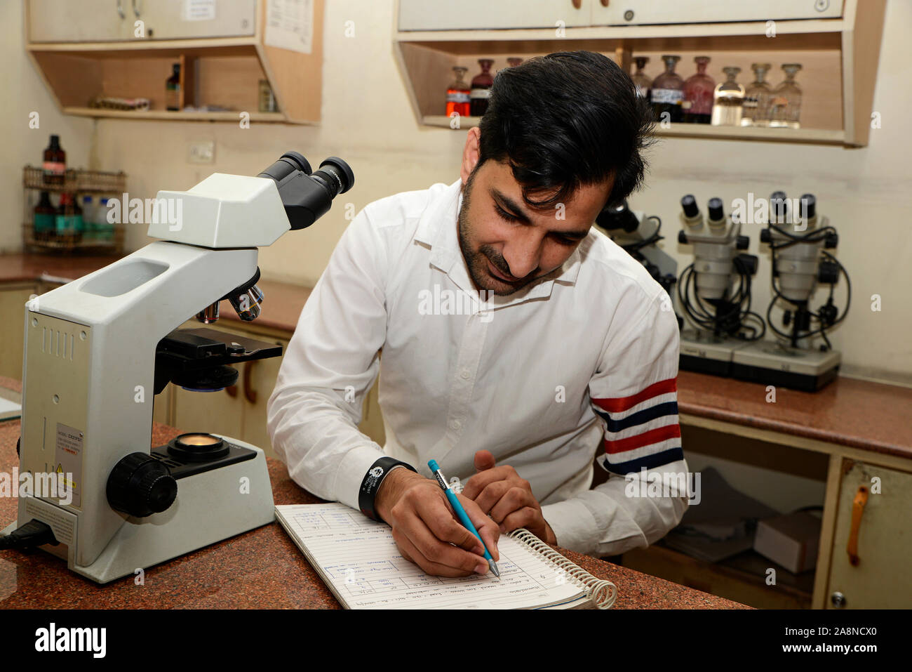 Student working with Microscope Stock Photo - Alamy