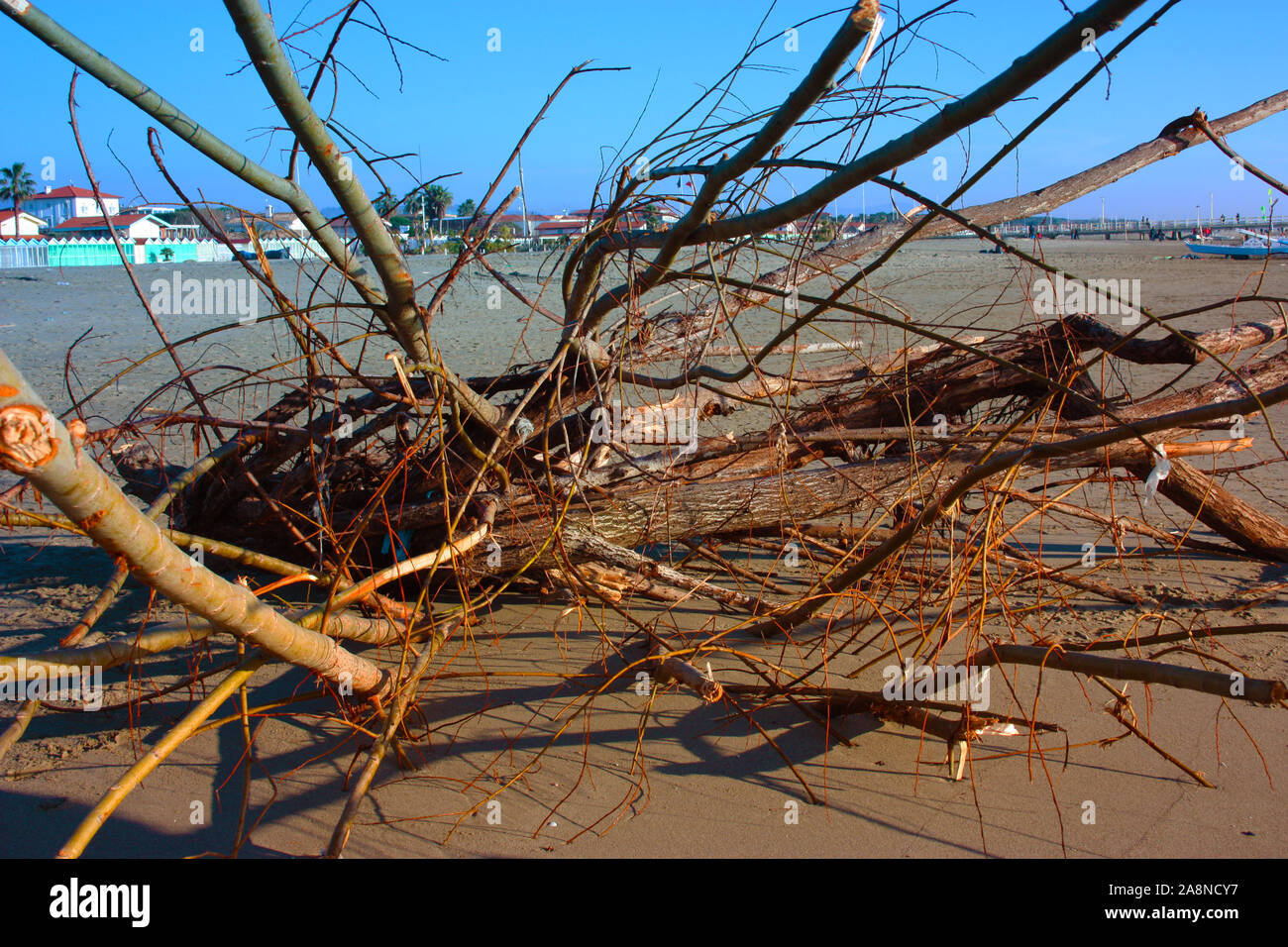 Wave sea abandoned trunks on hi-res stock photography and images - Alamy
